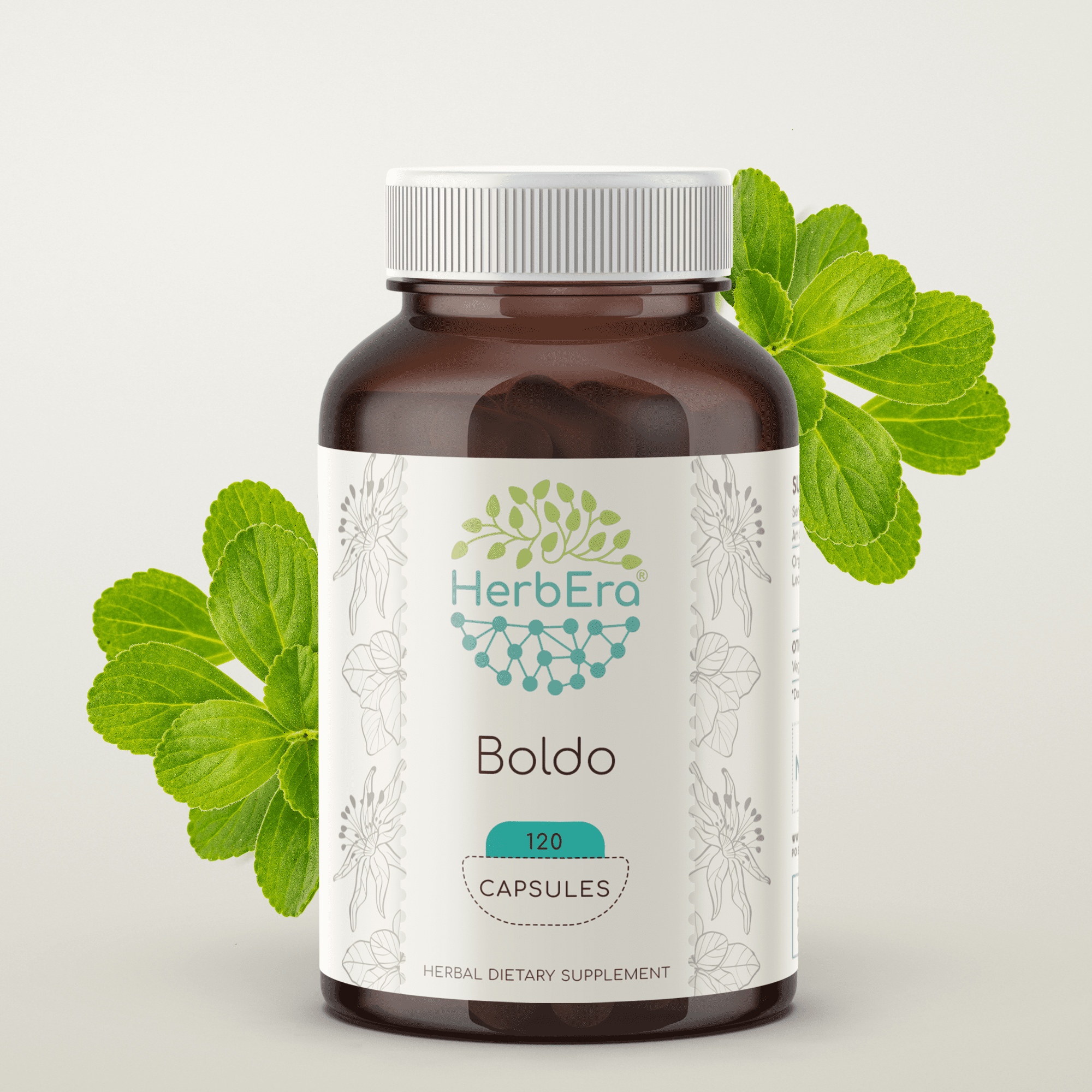 Boldo 60 Capsules, 500 mg, Organic Boldo (Peumus boldus) Dried Leaf ...