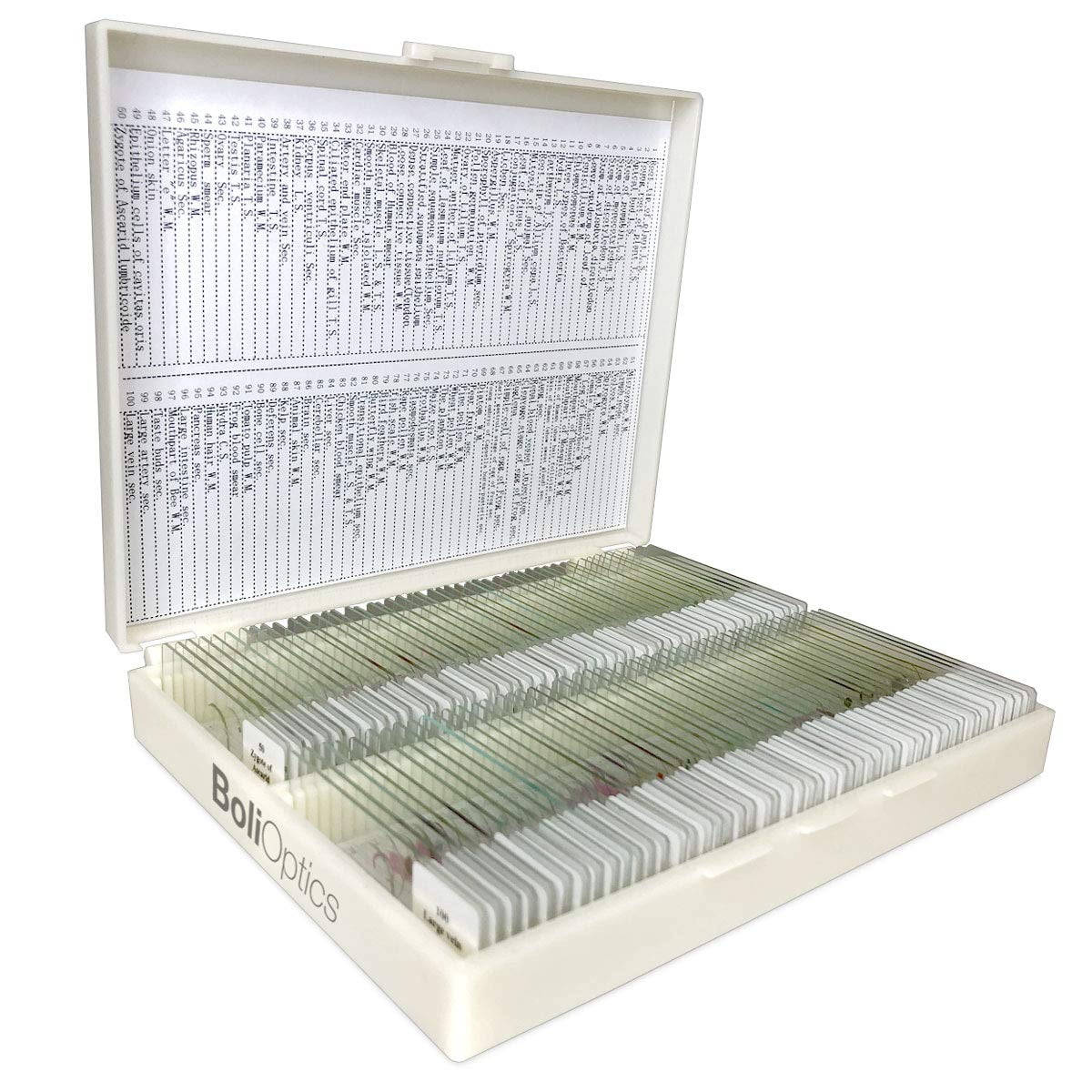 BoliOptics 100 Prepared Microscope Slides General Biology Specimen Set ...