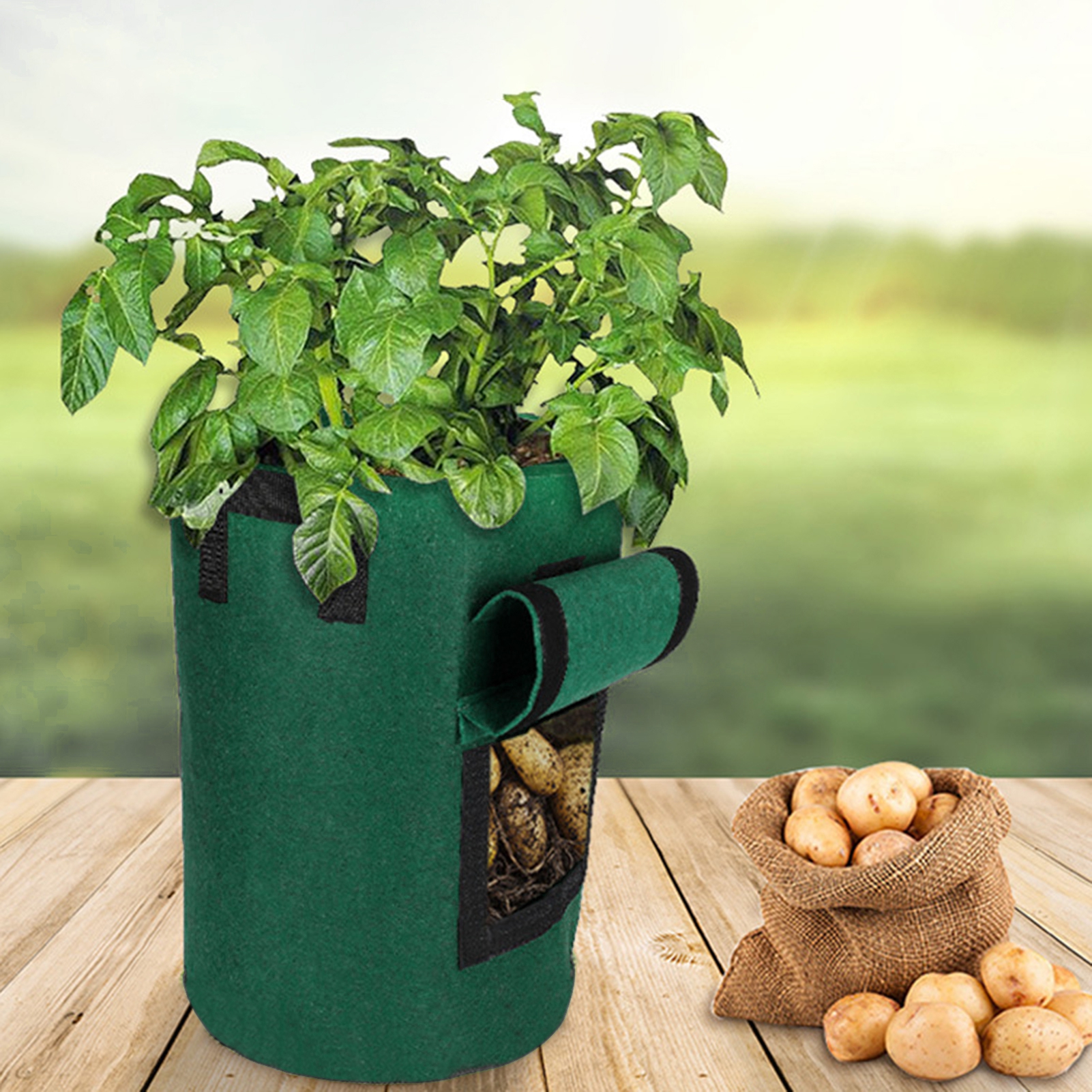 Bolincty Potato Grow Bags for Growing Potatoes, Garden Planter Pots Bag ...
