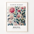 Bolivia National Flower Art Print Cantuta 1960'S Wall Art Neutral ...