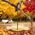 Bomd Mini Umbrella Bird Feeder for Outdoors, Hanging Metal Bird Bath ...