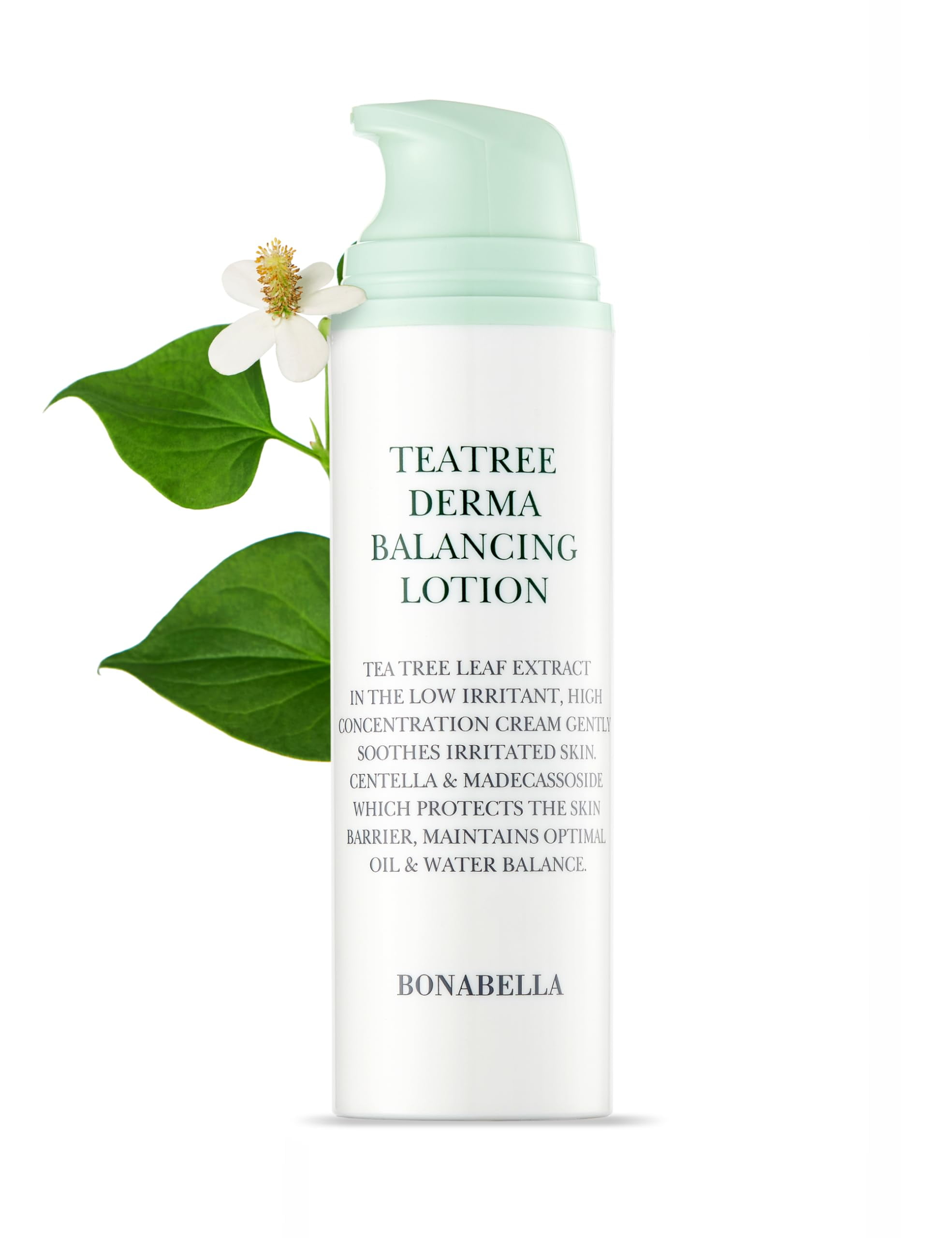 Bonabella Tea Tree Derma Balancing Face BSL1 Lotion | Daily Lotion Face ...