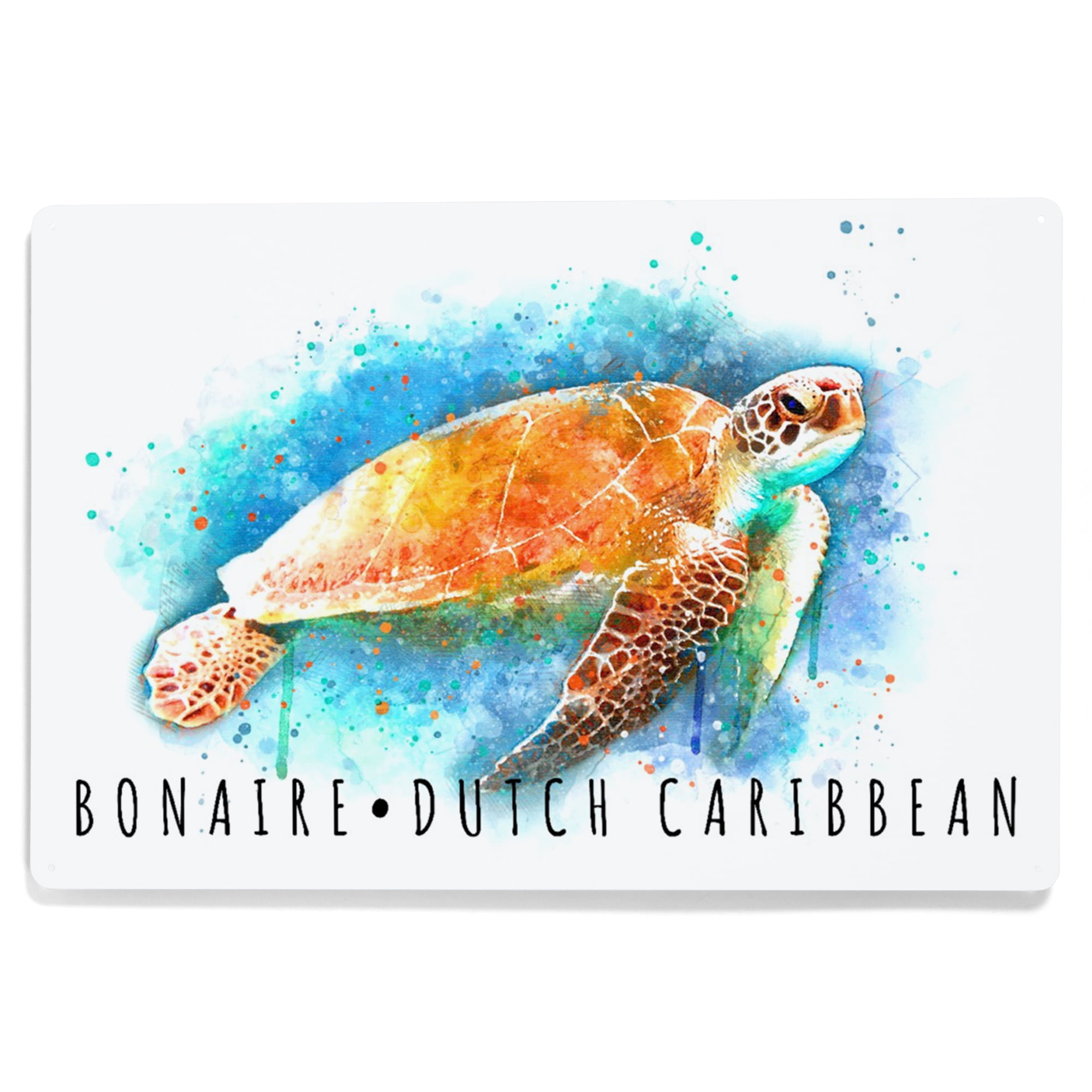 Bonaire, Dutch Caribbean, Sea Turtle, Watercolor (12x18 Aluminum Art ...