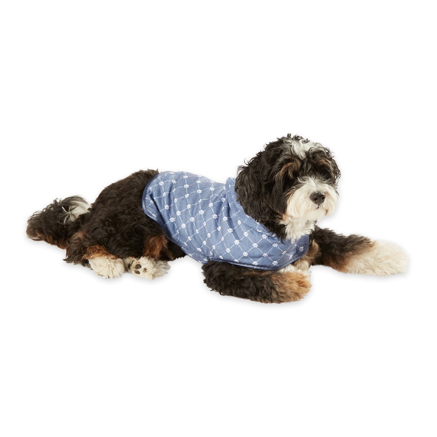 Bone Dry Trellis Paw Microfiber Bath Pet Robe with Adjustable Closure ...