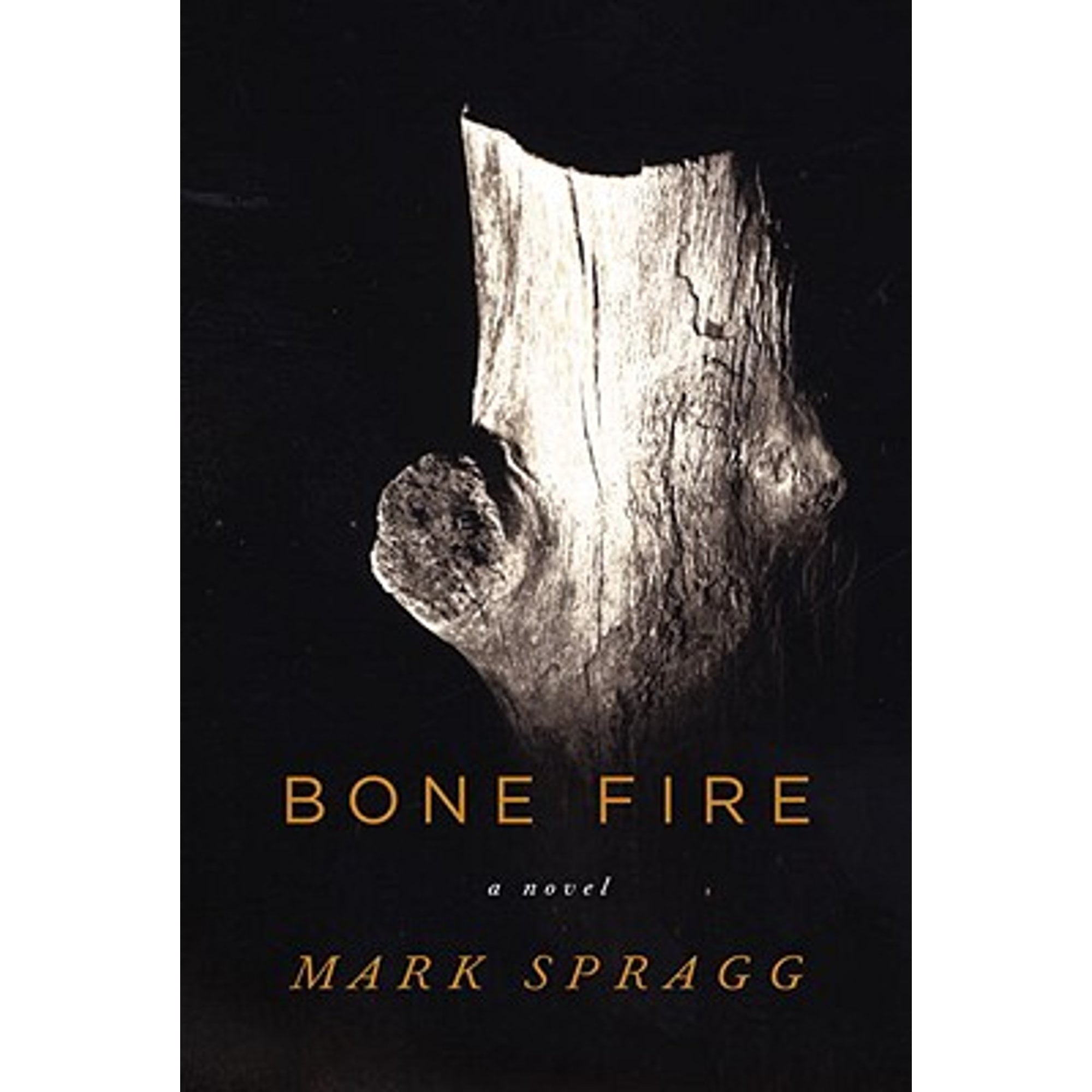 Bone Fire (Hardcover) by Mark Spragg - Walmart.com