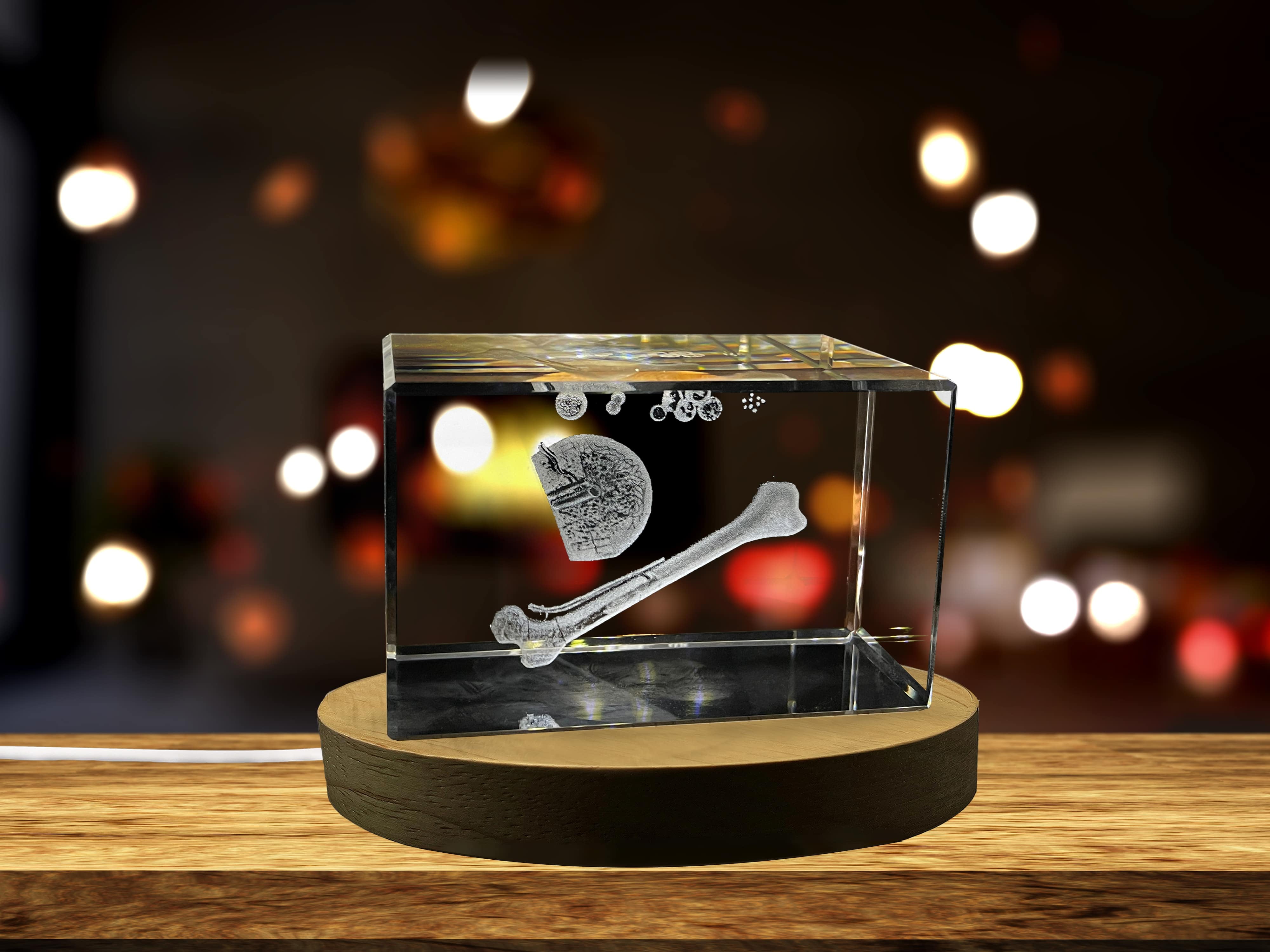 Bone Marrow Art | 3D Engraved Crystal Keepsake | Home Decor | Souvenir ...