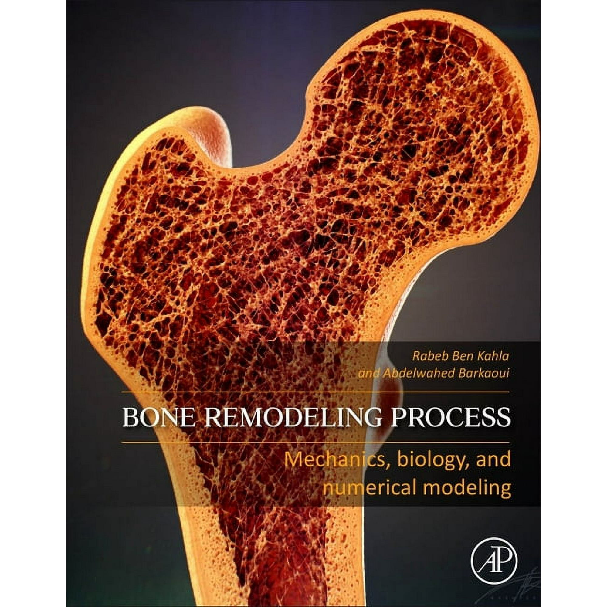 Bone Remodeling Steps