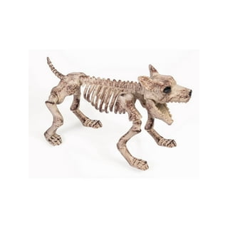 Skeleton Dog Paint