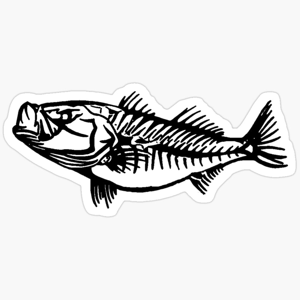 Bone Striped Bass Sticker Phone Decal Water Bottle Stickers Car Decals ...