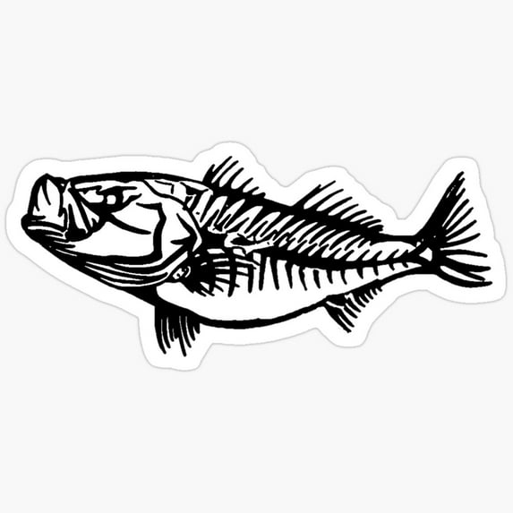 Bone Striped Bass Sticker Phone Decal Water Bottle Stickers Car Decals ...