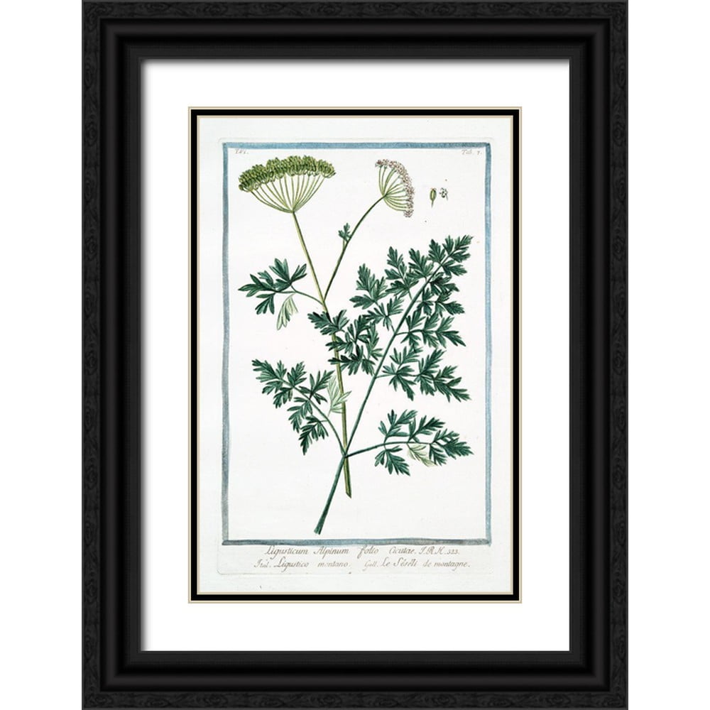 Bonelli, Giorgio 13x18 Black Ornate Wood Framed with Double Matting ...