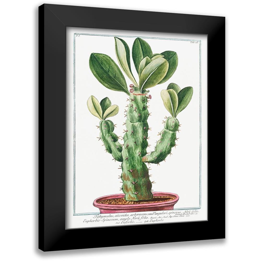 Bonelli, Giorgio 15x18 Black Modern Framed Museum Art Print Titled ...