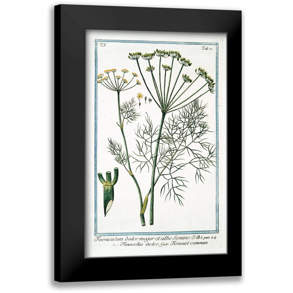 Bonelli, Giorgio 17x24 Black Modern Framed Museum Art Print Titled ...