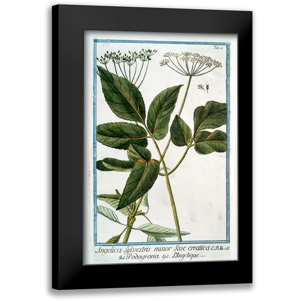 Bonelli, Giorgio 17x24 Black Modern Framed Museum Art Print Titled ...