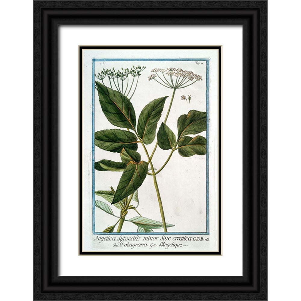 Bonelli, Giorgio 17x24 Black Ornate Wood Framed with Double Matting ...