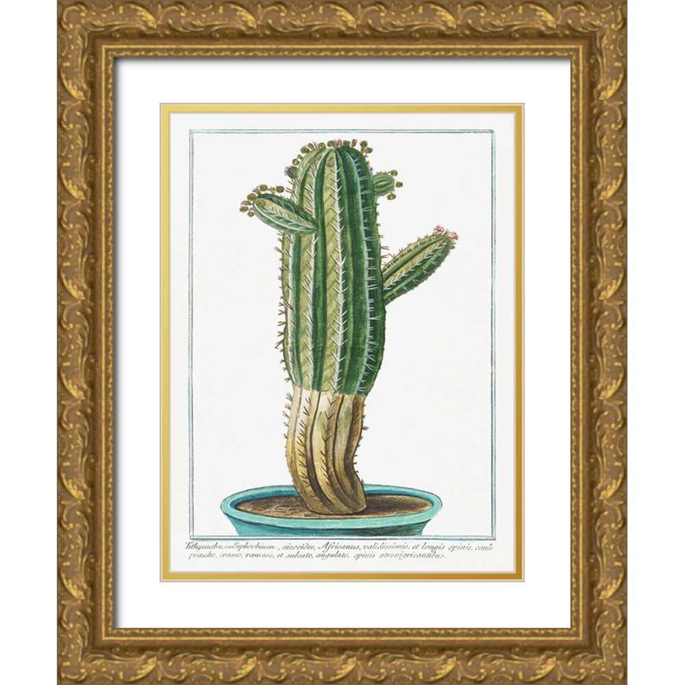 Bonelli, Giorgio 19x24 Gold Ornate Wood Framed with Double Matting ...