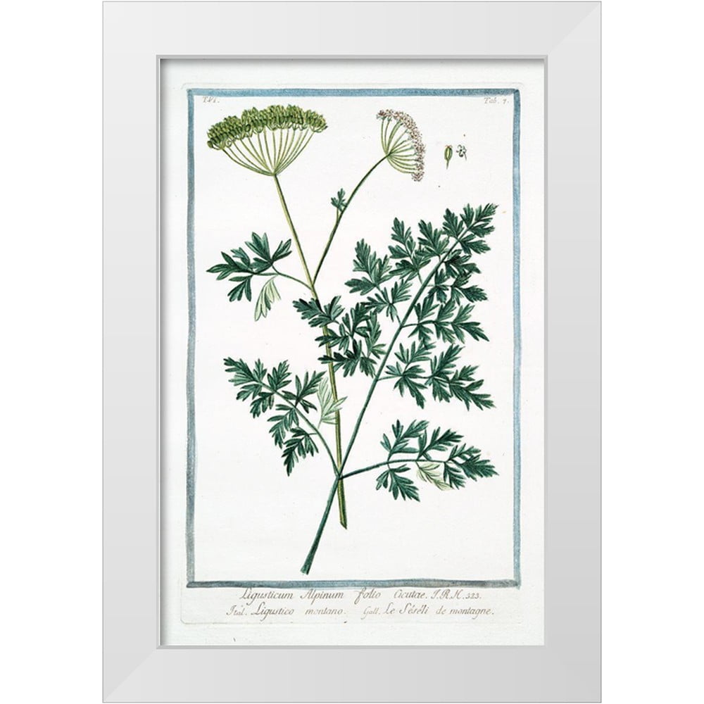 Bonelli, Giorgio 22x32 White Modern Wood Framed Museum Art Print Titled ...