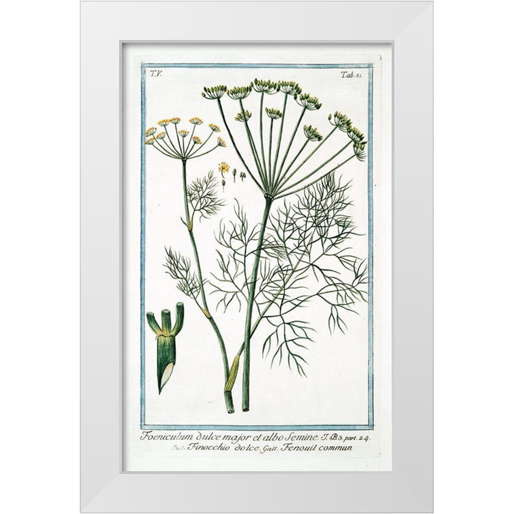 Bonelli, Giorgio 22x32 White Modern Wood Framed Museum Art Print Titled ...