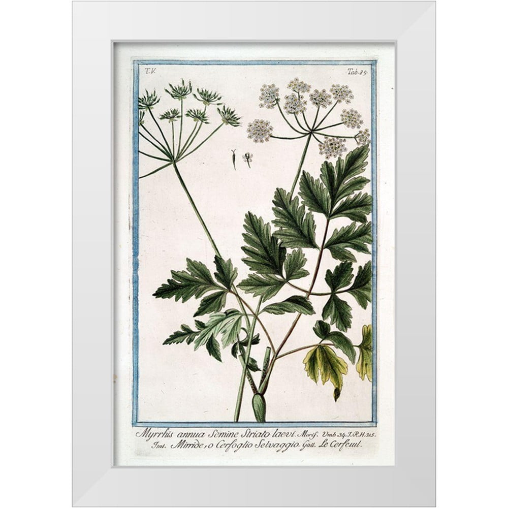 Bonelli, Giorgio 23x32 White Modern Wood Framed Museum Art Print Titled ...