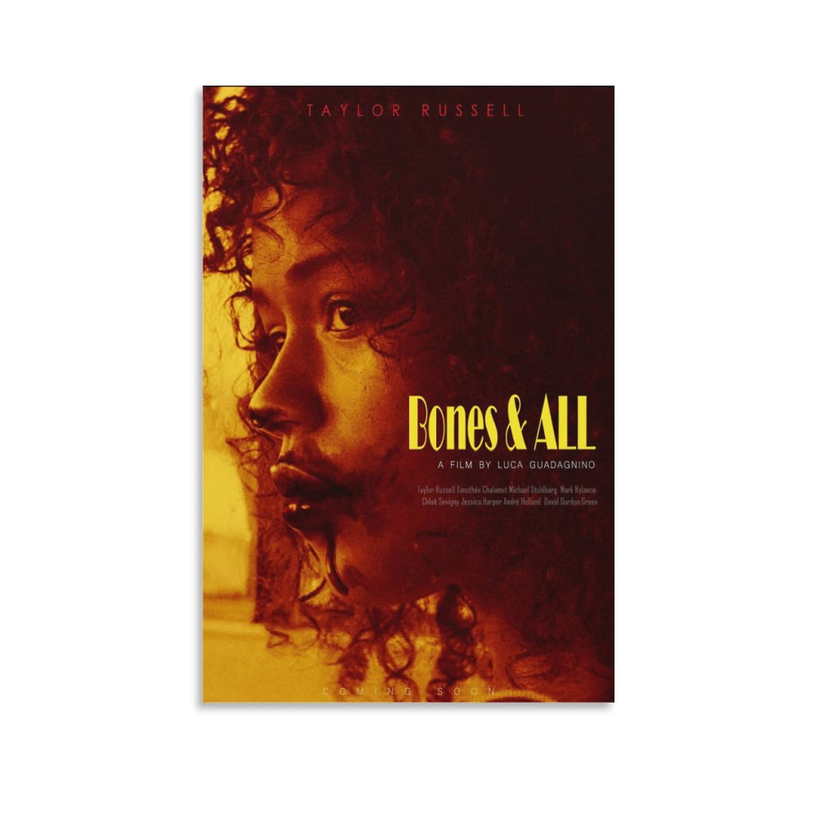 Bones And All Movie Poster Classic Love Horror Movie Poster (27) Room ...