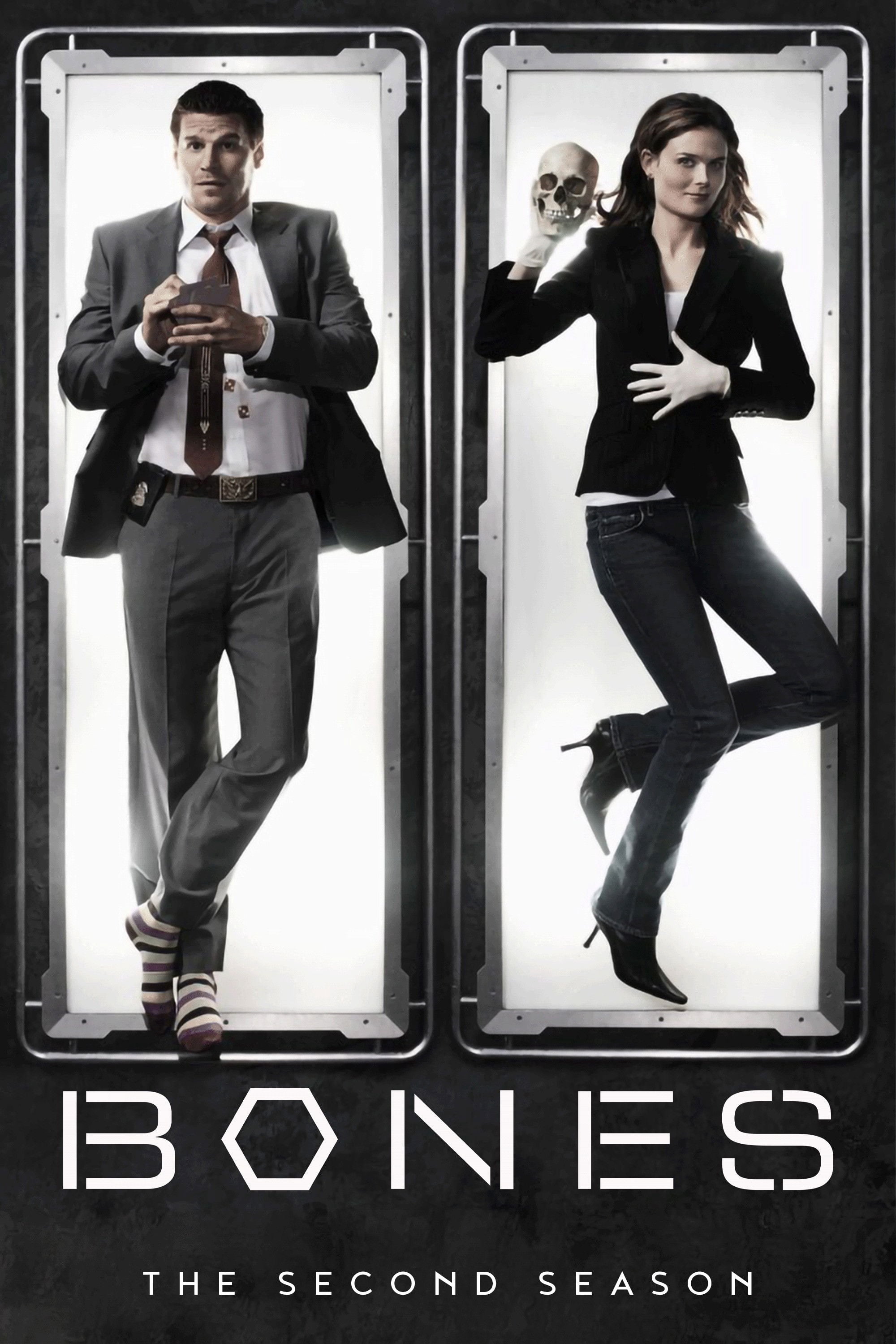 Bones Season 2 DVD - Crime and Drama - Walmart.com