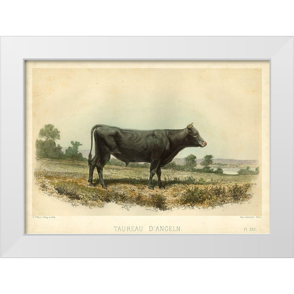 Bonheur, I. 14x11 White Modern Wood Framed Museum Art Print Titled ...