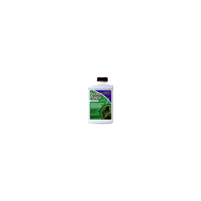 Bonide Chemical 276 Sucker Punch RTU Brush Top, 8-Ounce - Walmart ...