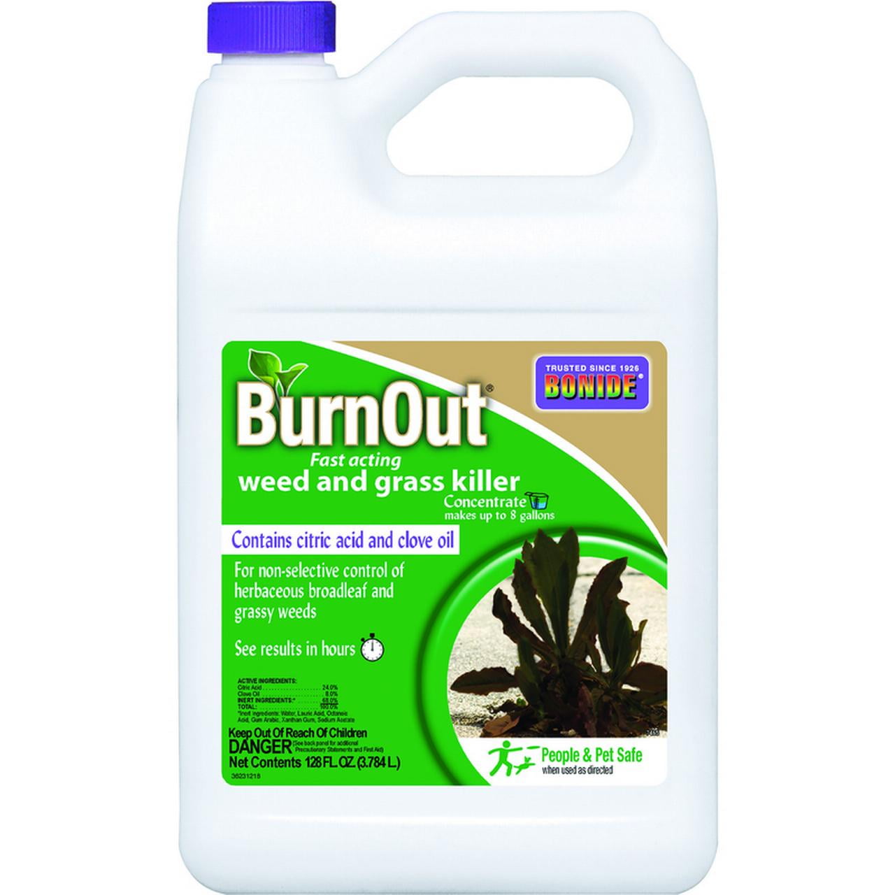 Bonide 7465 Burn Out Weed and Grass Concentrate Killer, 1 gallon ...