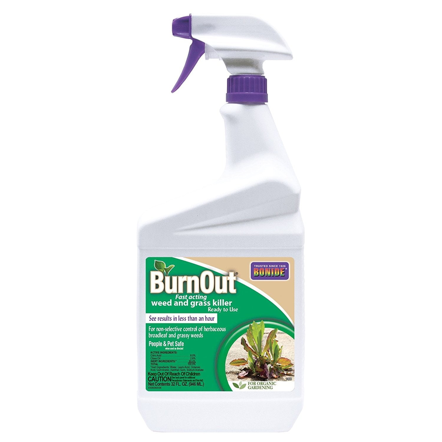 Bonide Burn Out Weed and Grass Killer, 32 oz - Walmart.com