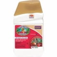 Bonide Captain Jack's Deadbug Brew Insect Killer - Pack of 12 - Walmart.com