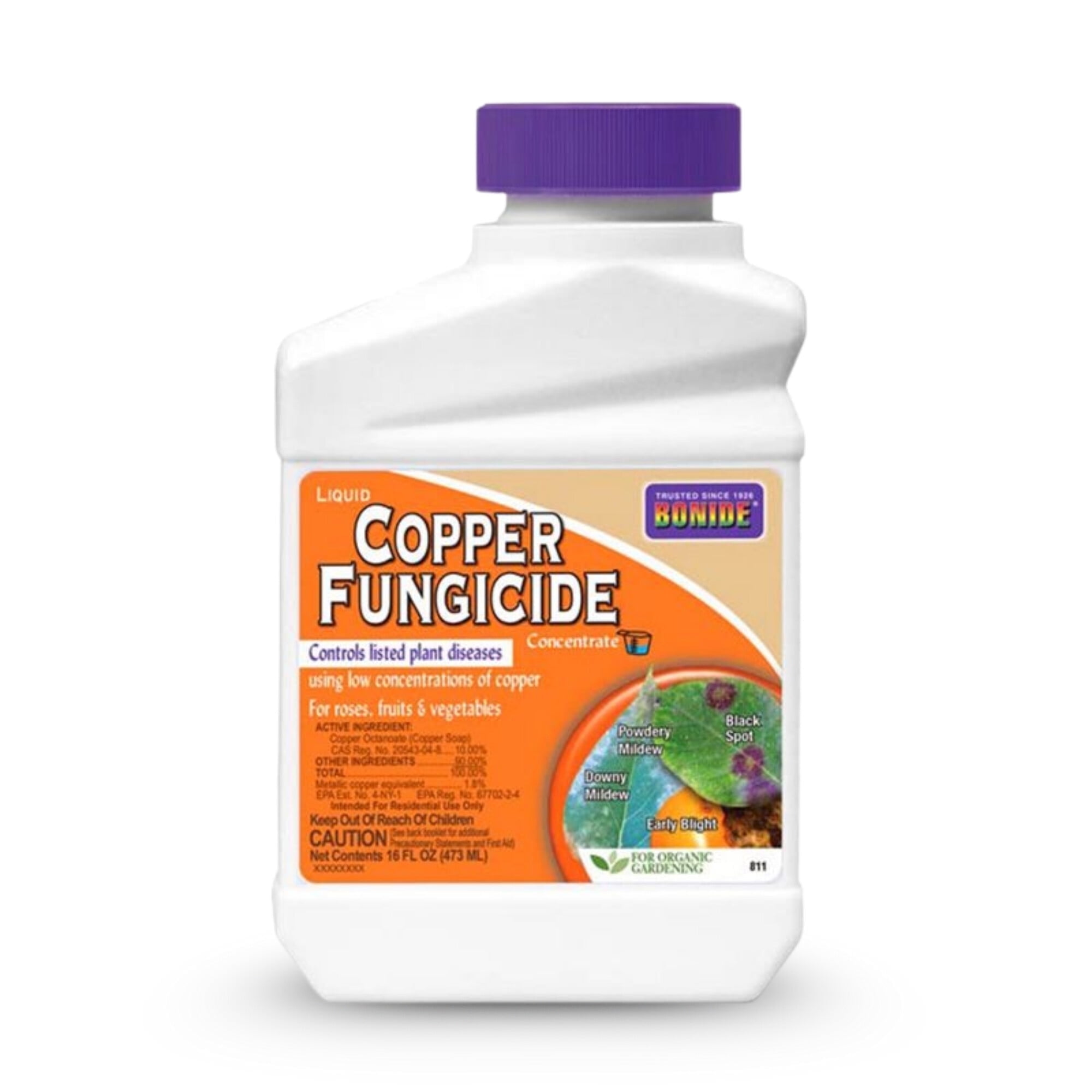Bonide Captain Jack's Organic Copper Fungicide, Plant Fungus Treatment ...
