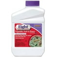 Bonide Eight Yard & Garden Insect Killer Liquid Concentrate 16 oz ...