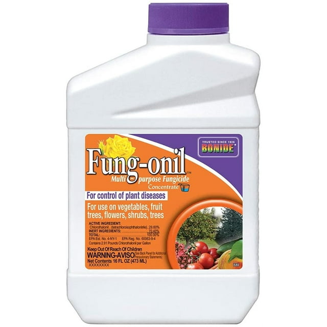 Bonide Fung-onil Fungicide Concentrate 16 oz, Liquid Spray for Roses ...