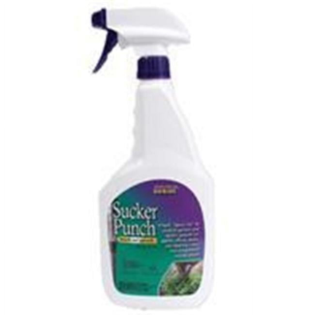 Bonide Sucker Punch Ready To Use Spray, 16 Ounce for Fruit Tree Sprout ...