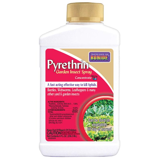 Bonide Pyrethrin Garden Insect Spray Concentrate, 8 oz Ready-to-Mix ...