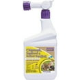 Bonide Quart Ready to Spray Chipmunk Repellent - Walmart.com