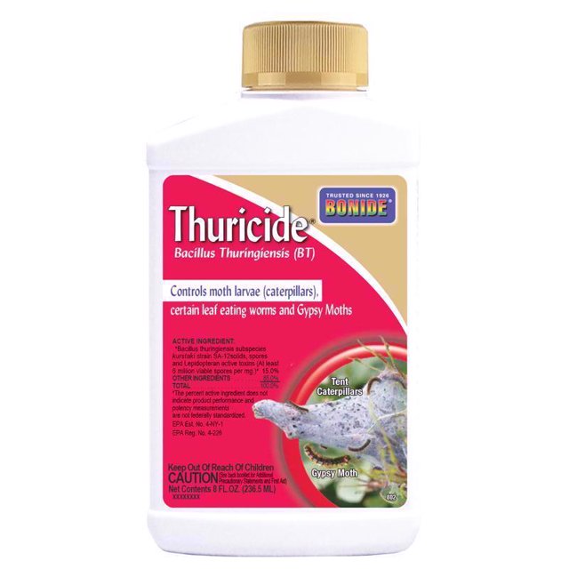 Bonide Thuricide Organic Insect Killer Liquid Concentrate 8 oz ...