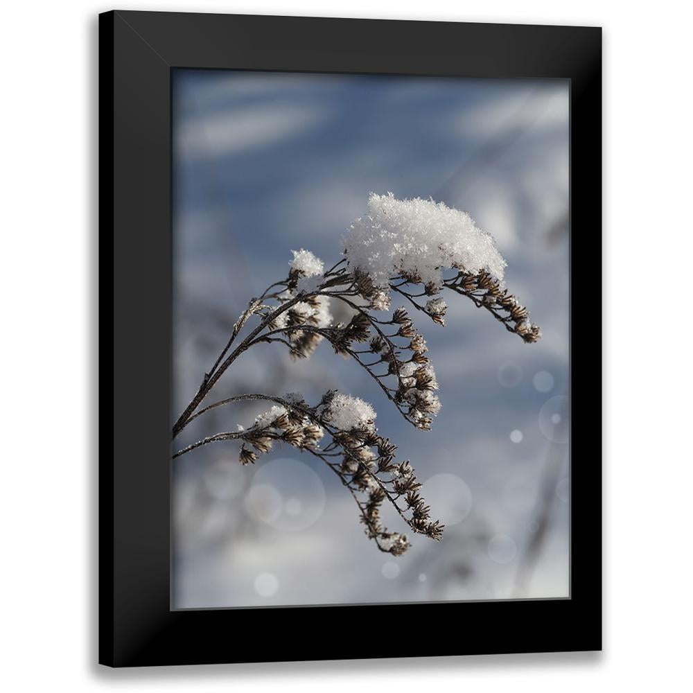 Bonin, Suzanne 12x14 Black Modern Framed Museum Art Print Titled ...