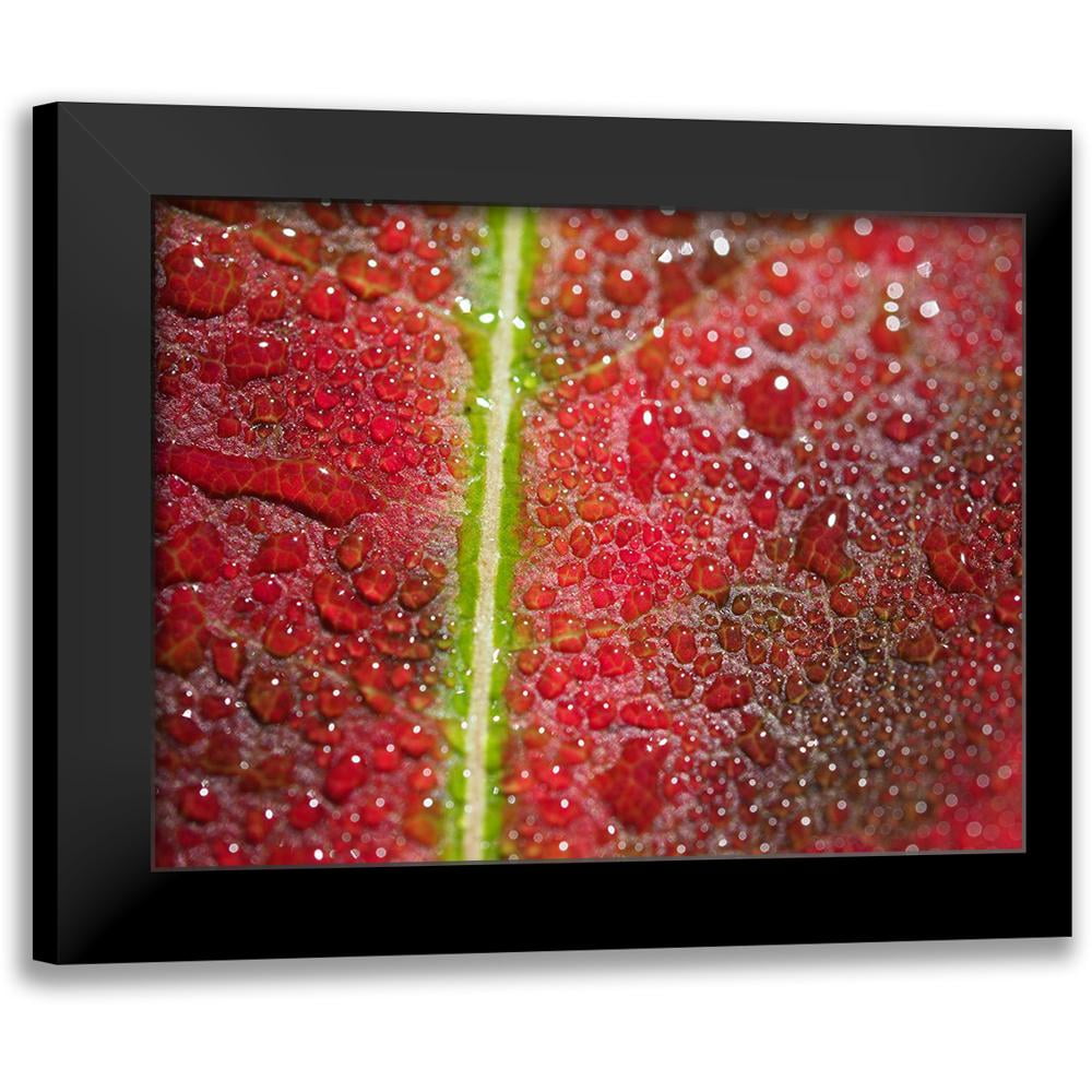 Bonin, Suzanne 14x12 Black Modern Framed Museum Art Print Titled ...