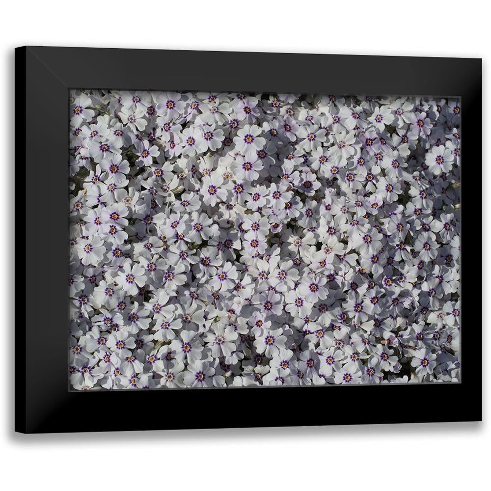 Bonin, Suzanne 14x12 Black Modern Framed Museum Art Print Titled - Moss ...