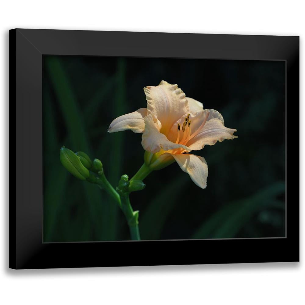 Bonin, Suzanne 14x12 Black Modern Framed Museum Art Print Titled ...