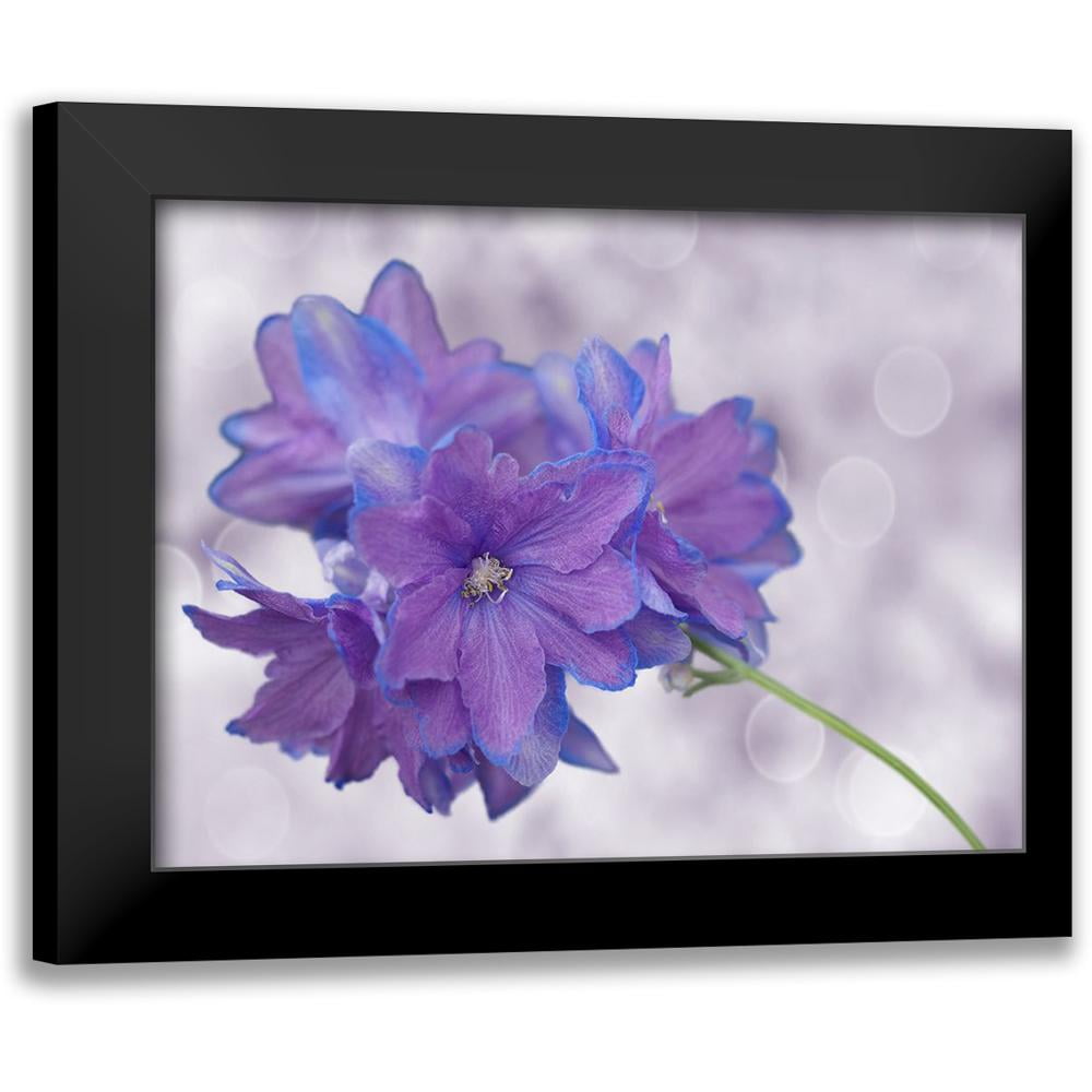 Bonin, Suzanne 14x12 Black Modern Framed Museum Art Print Titled ...