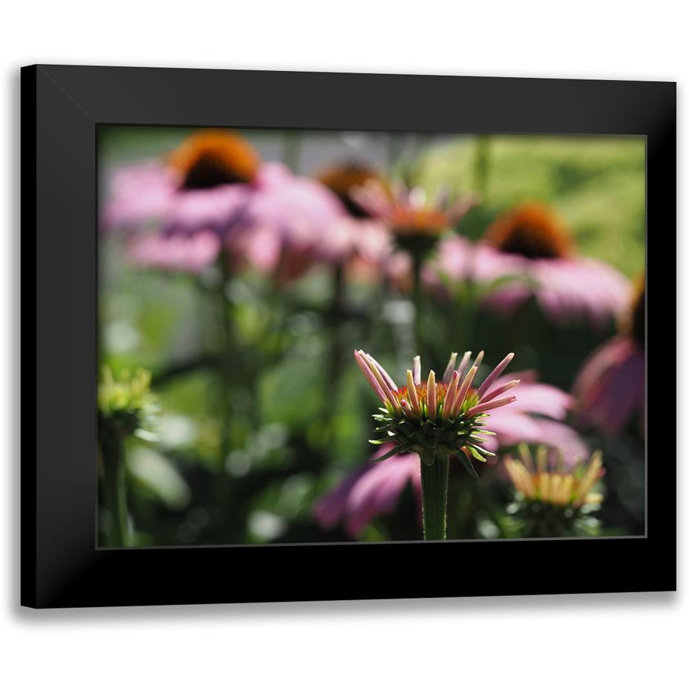 Bonin, Suzanne 14x12 Black Modern Framed Museum Art Print Titled ...