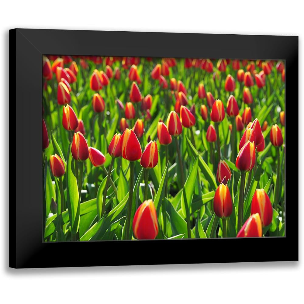 Bonin, Suzanne 14x12 Black Modern Framed Museum Art Print Titled ...