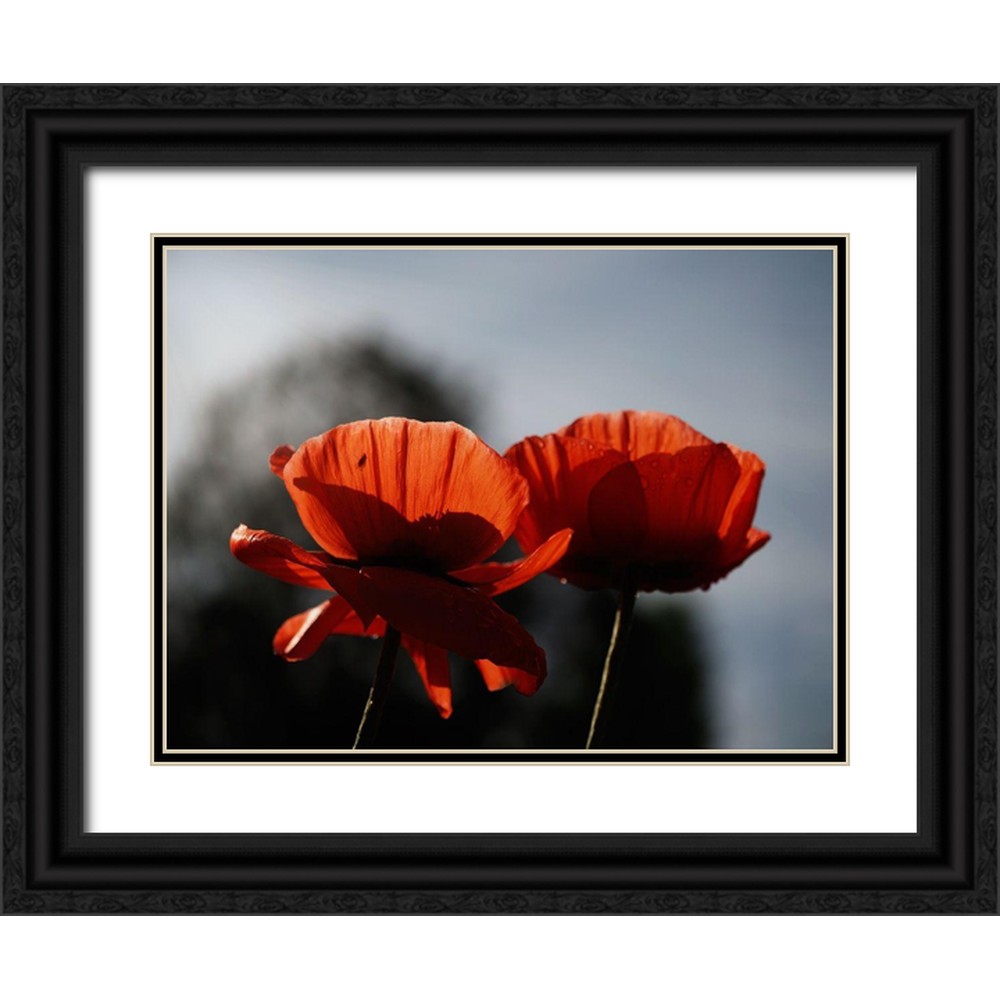 Bonin, Suzanne 14x12 Black Ornate Wood Framed with Double Matting ...
