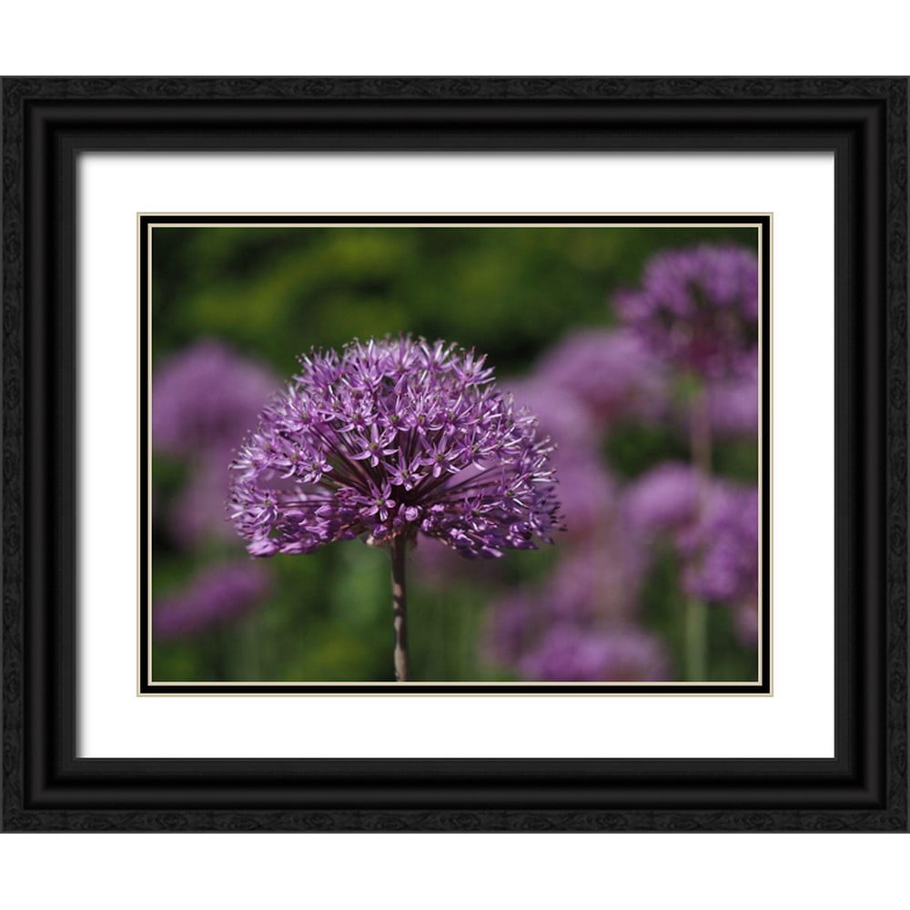 Bonin, Suzanne 14x12 Black Ornate Wood Framed with Double Matting ...