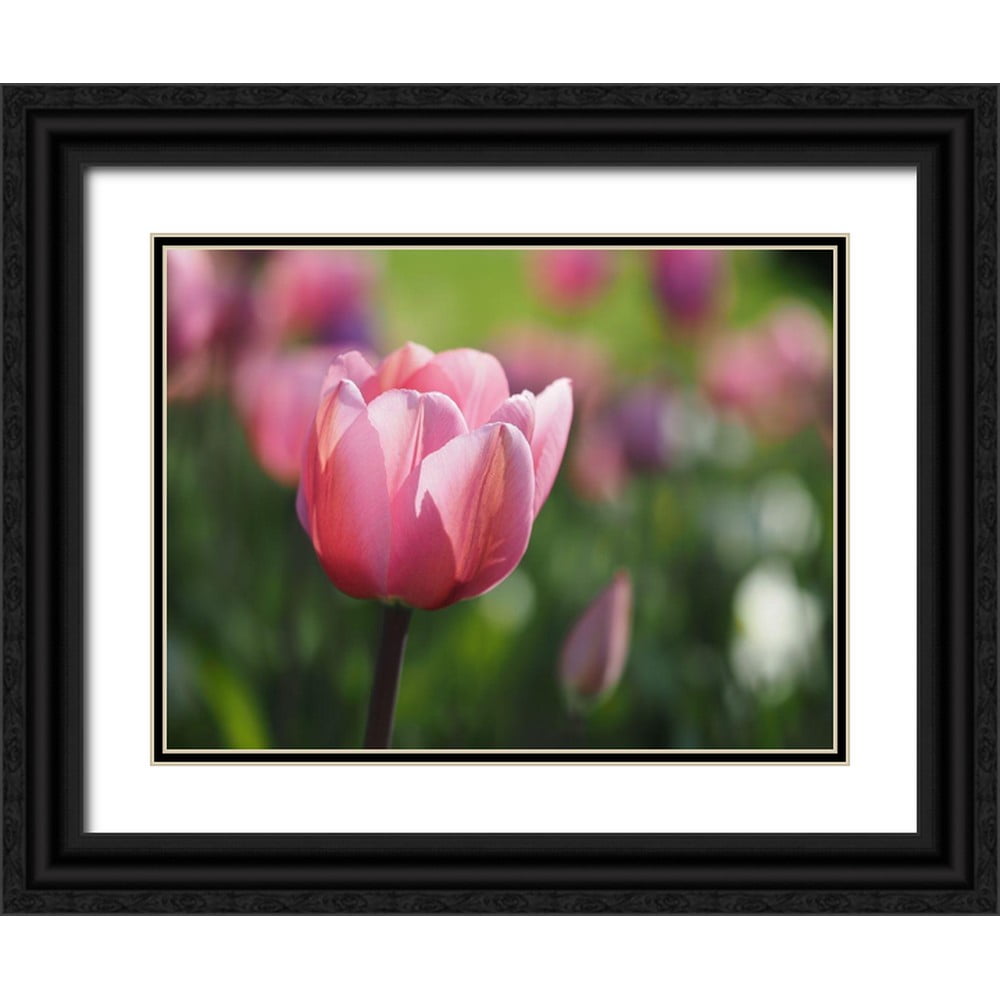 Bonin, Suzanne 14x12 Black Ornate Wood Framed with Double Matting ...