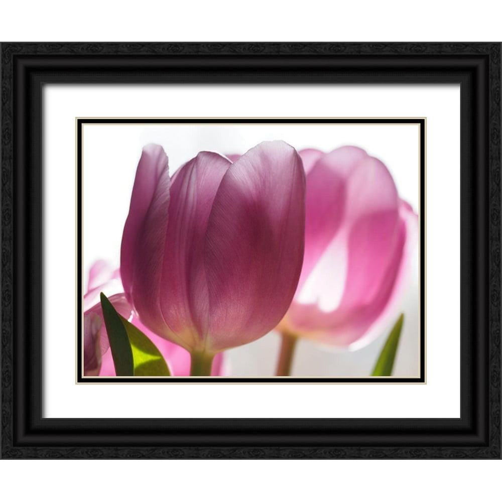 Bonin, Suzanne 14x12 Black Ornate Wood Framed with Double Matting ...