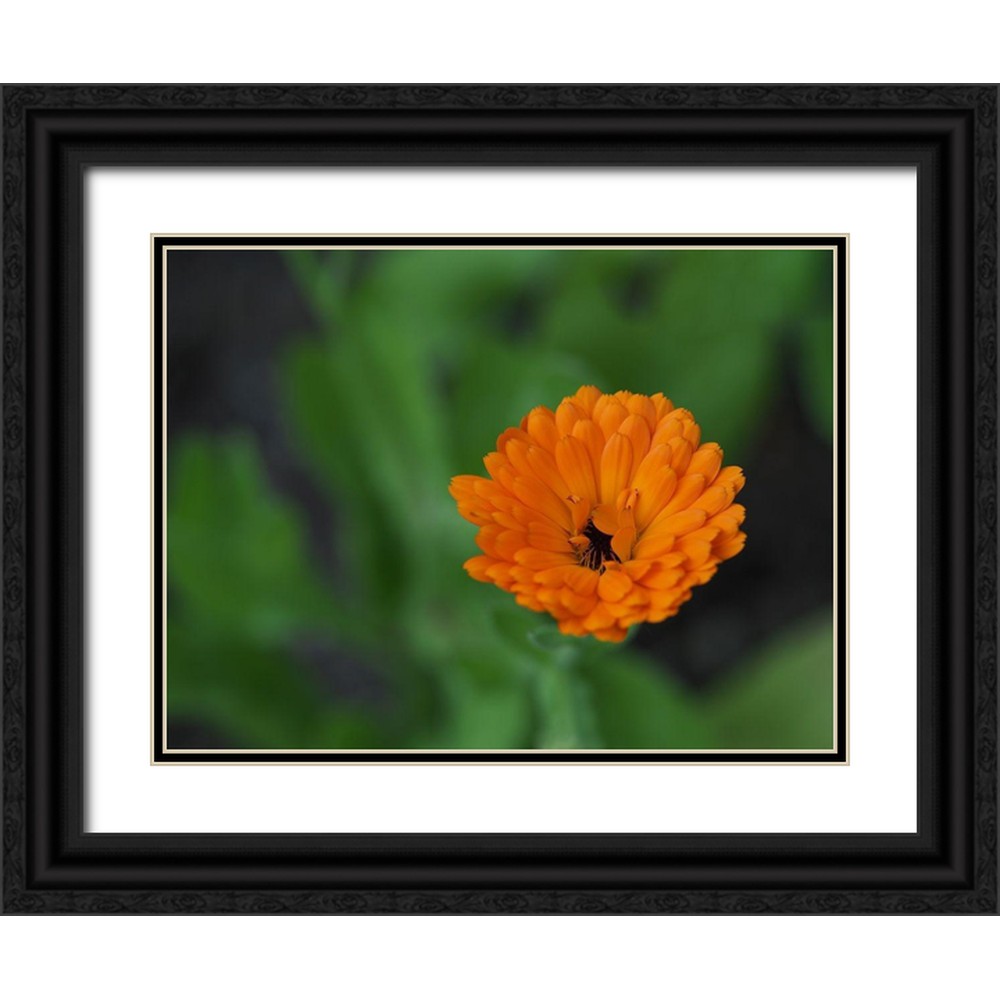 Bonin, Suzanne 14x12 Black Ornate Wood Framed with Double Matting ...