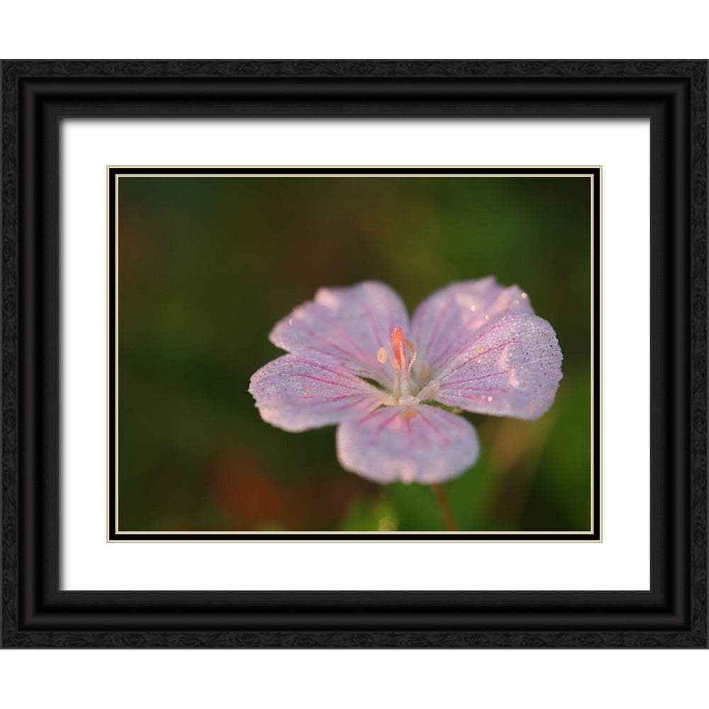 Bonin, Suzanne 14x12 Black Ornate Wood Framed with Double Matting ...